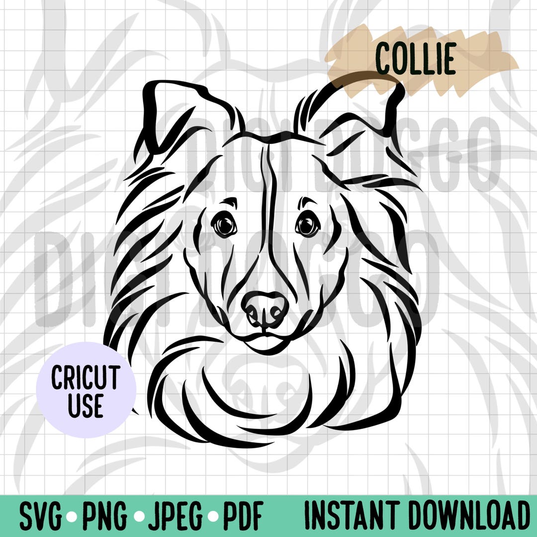 Collie Outline SVG/ Collie Face Line Art Vector File/ Dog Breed Digital Download for Cricut ...
