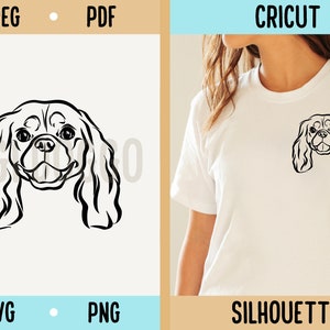 Cavalier King Charles Spaniel Outline: Dog Clipart SVG PNG PDF (digital ...