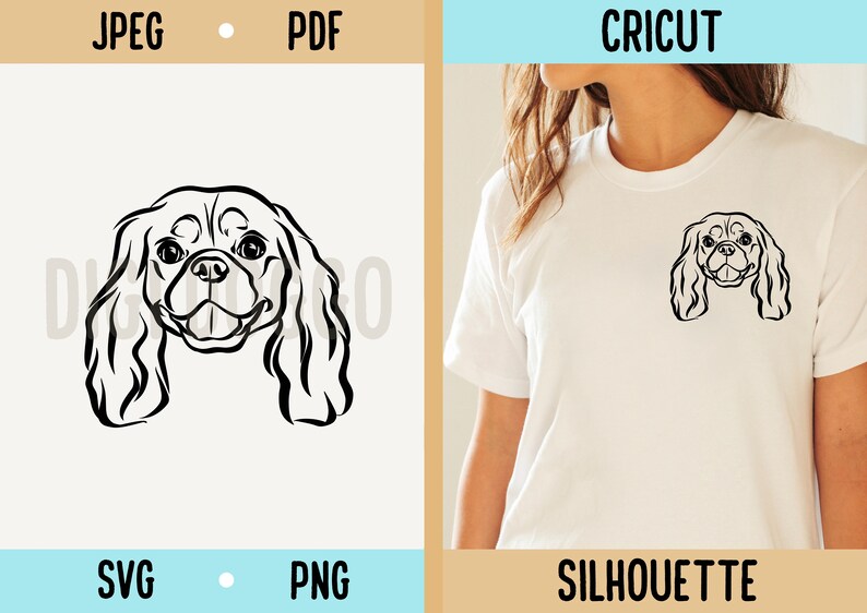 Cavalier King Charles Spaniel Outline: Dog Clipart SVG PNG PDF (digital ...