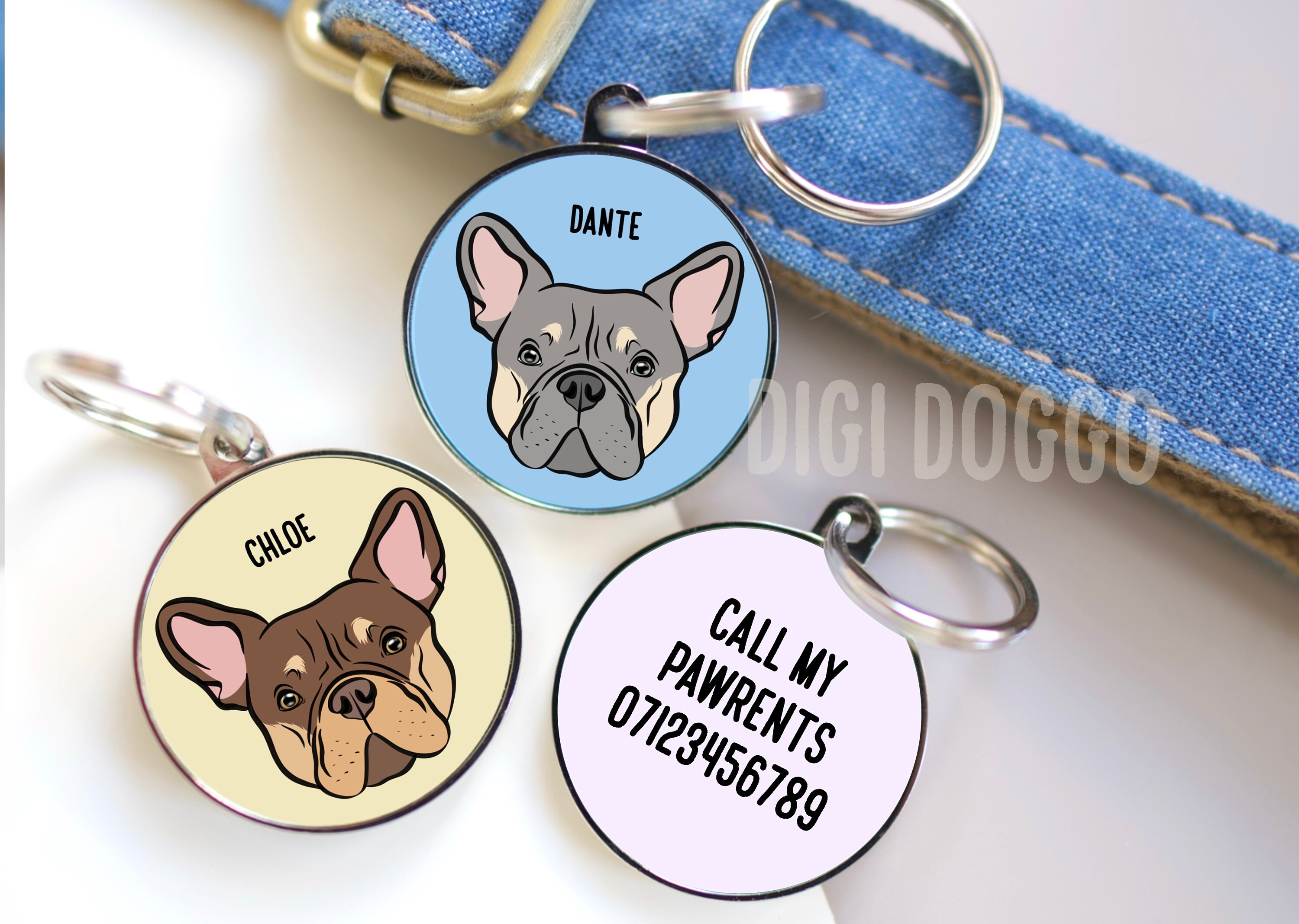 What Information Should Go On A Dog Tag
