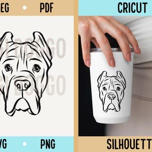 Cane Corso Outline SVG/ Pet Illustration Line Art Vector File/dog Breed ...