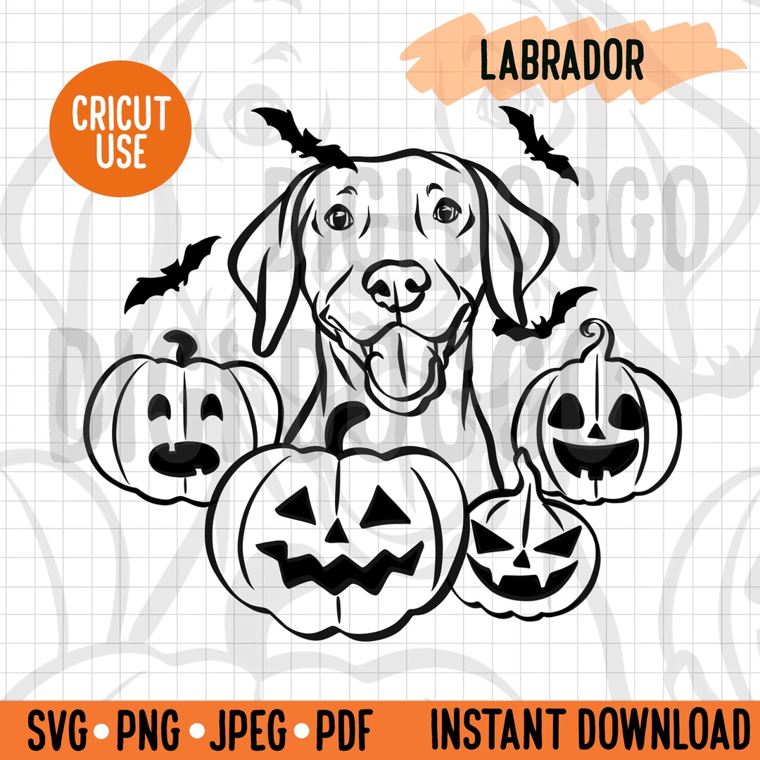Labrador Halloween SVG: Chocolate Lab Pumpkin Design (digital Download ...