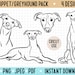 Whippet Greyhound Outline SVG/ Cute Dog Line Drawing Vector File ...