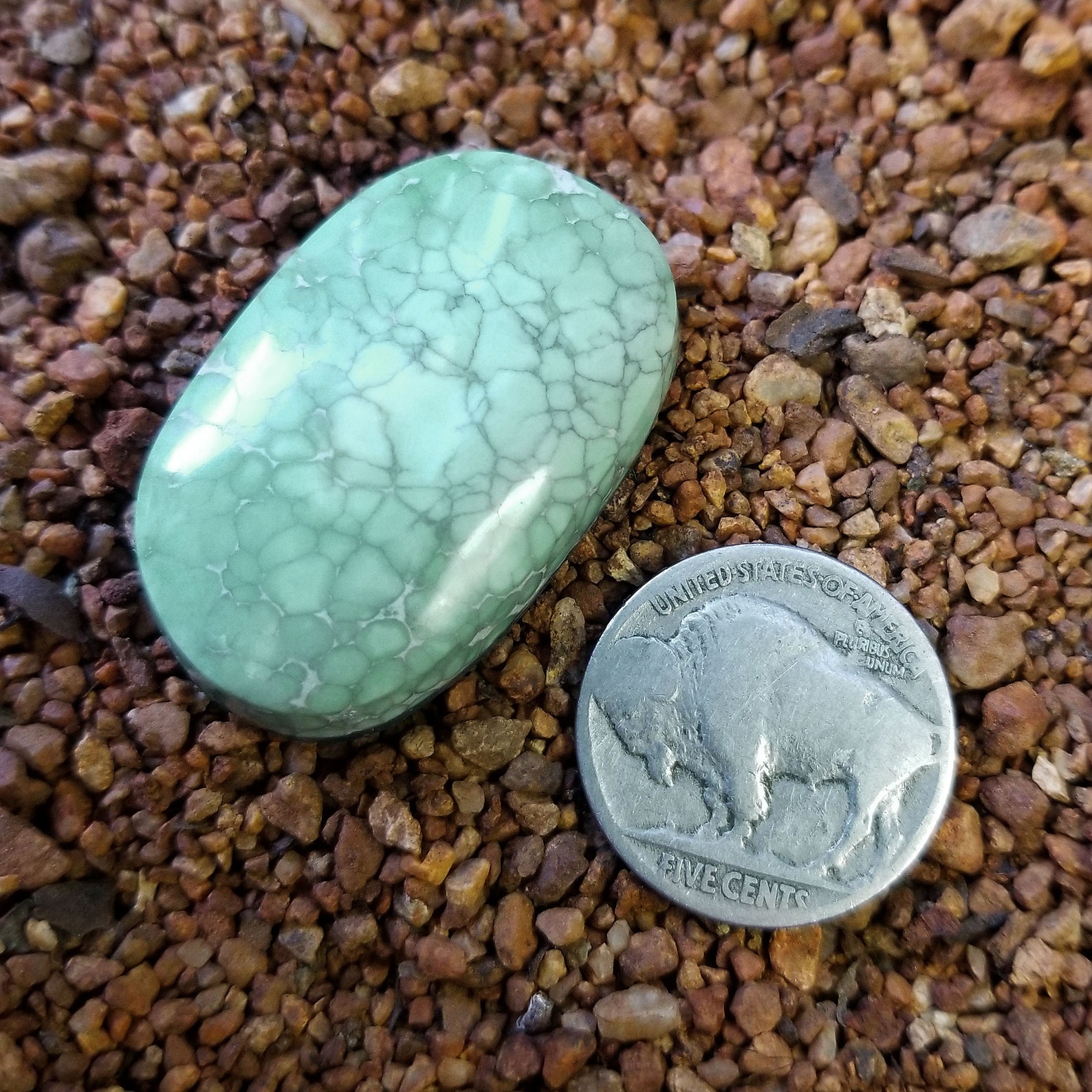 Lucin Variscite. Variscite Cabochon. Utah Variscite. 59 Carats. Old ...