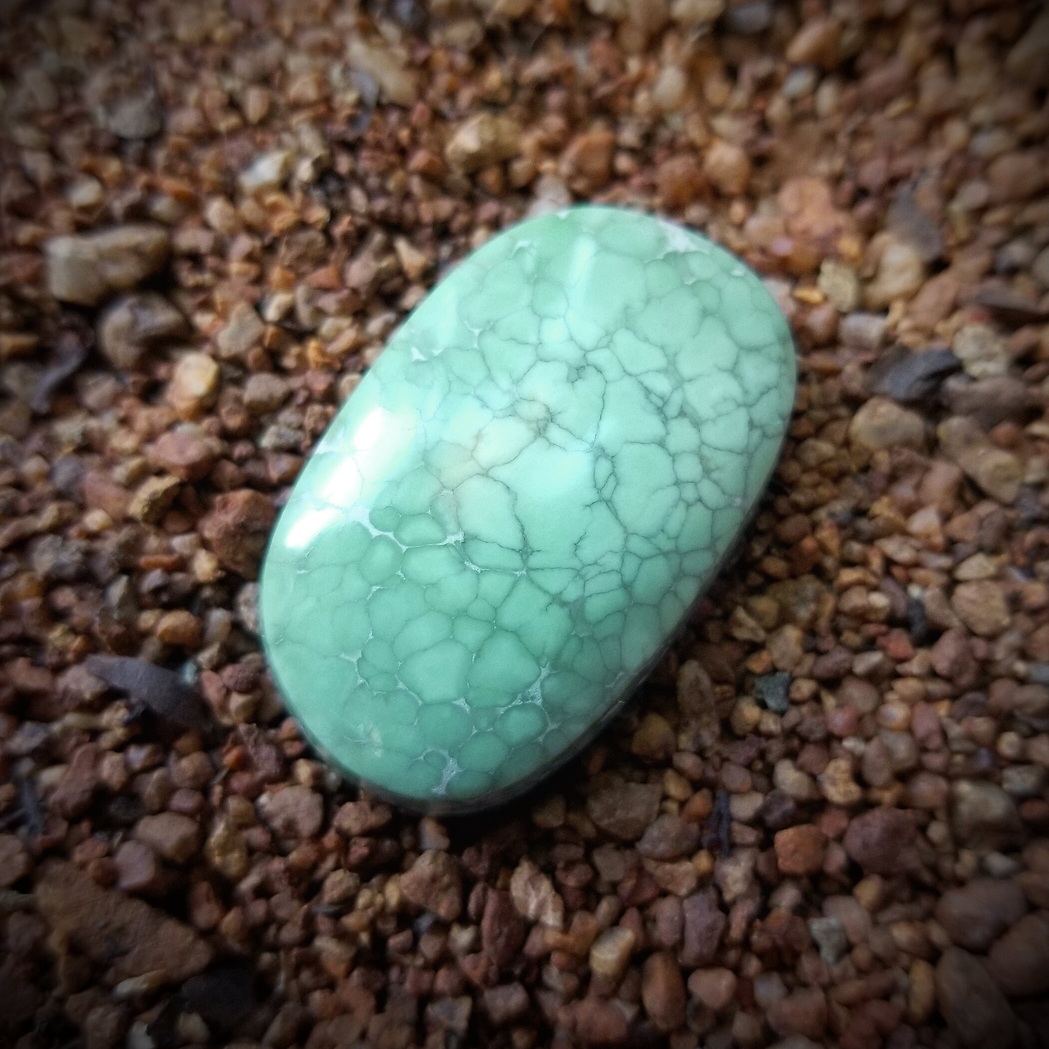 Lucin Variscite. Variscite Cabochon. Utah Variscite. 59 Carats. Old ...