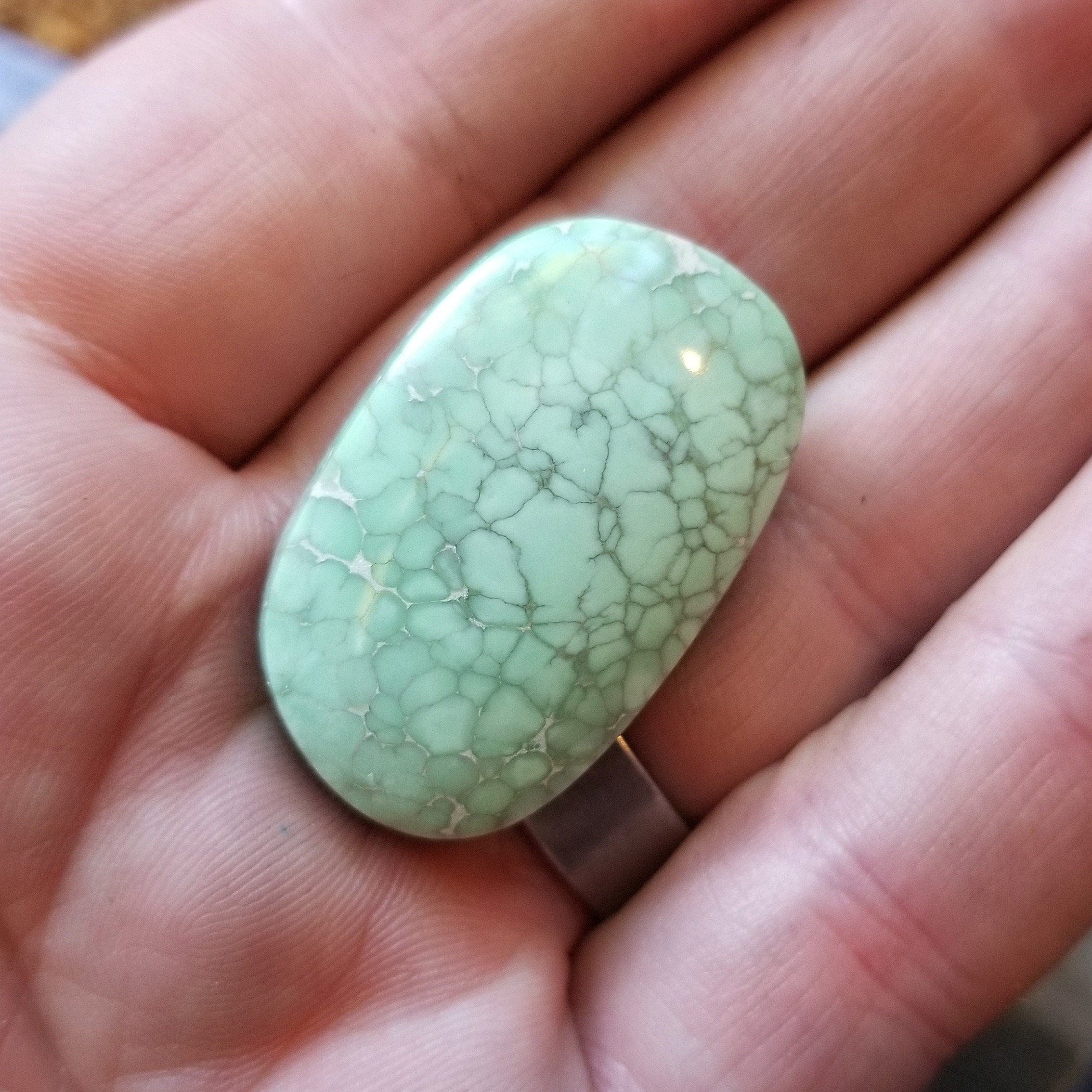 Lucin Variscite. Variscite Cabochon. Utah Variscite. 59 Carats. Old ...