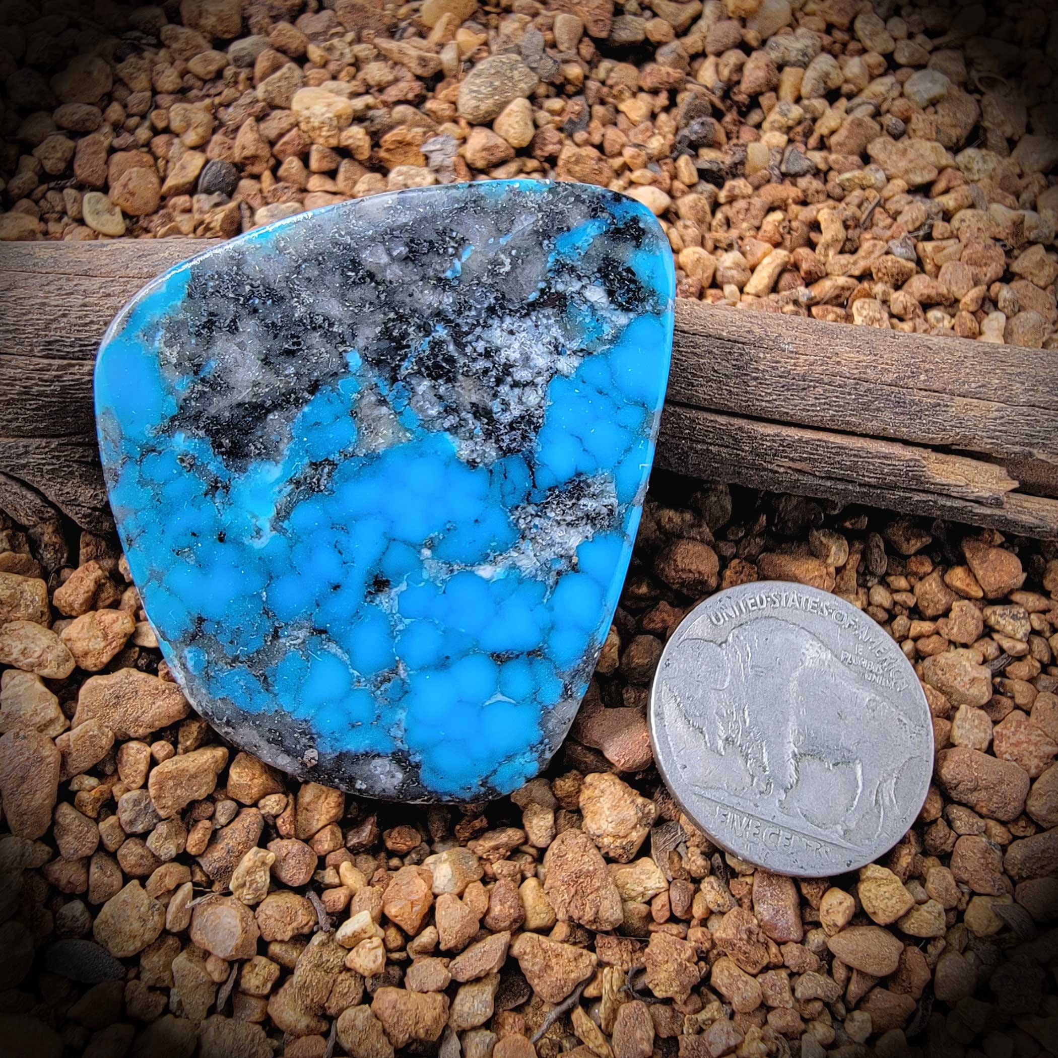 Ithaca Peak Turquoise. Huge Turquoise Cabochon. Bright Blue Webbed ...