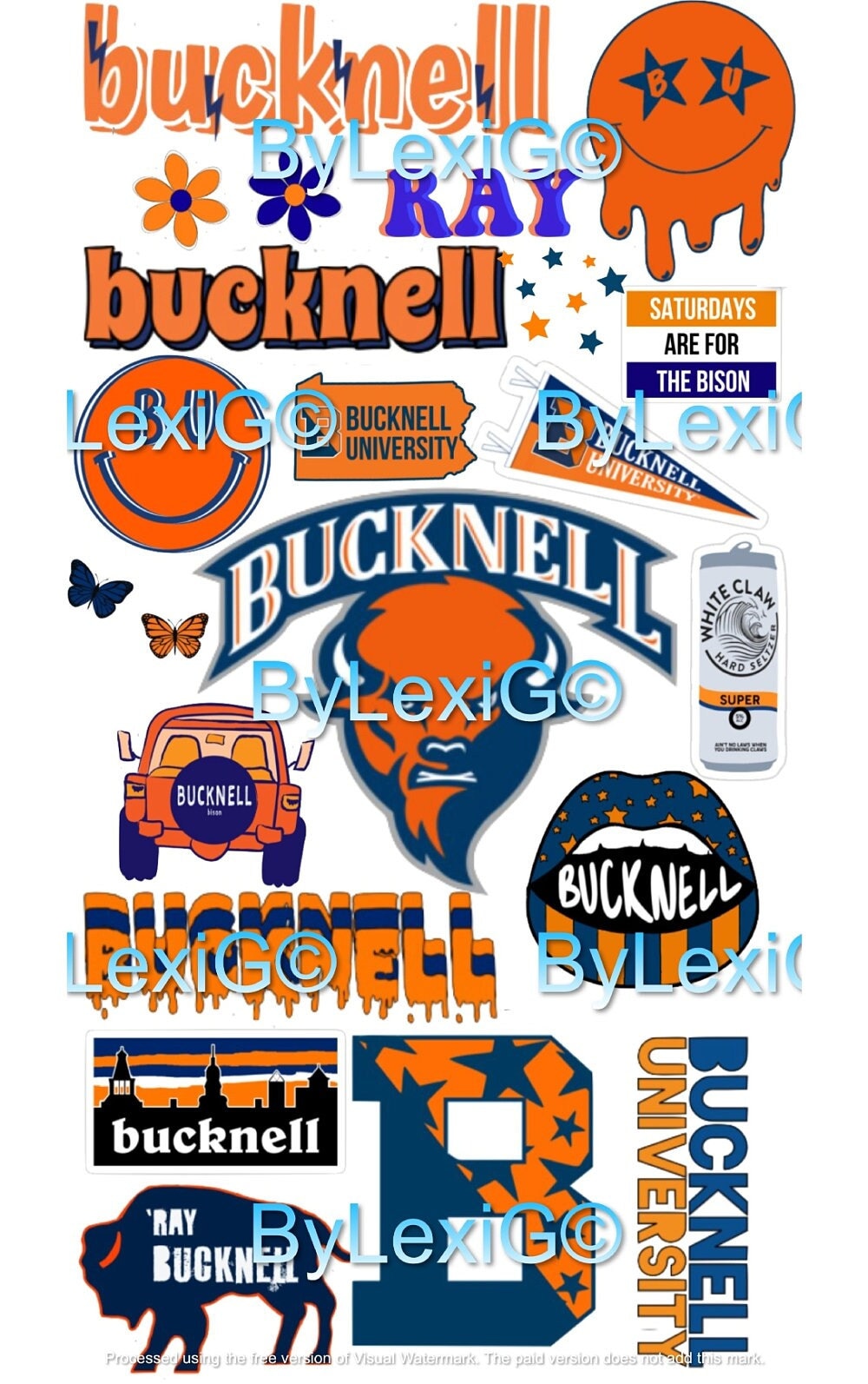 Bucknell University Logo