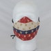 4 of July Face Mask + 2 PM2.5 Filters USA - Stars & Stripes, Fabric ...