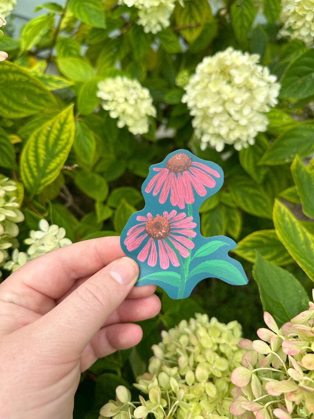 Purple Coneflower Die Cut Vinyl Sticker / Water Resistant/ UV Matte ...