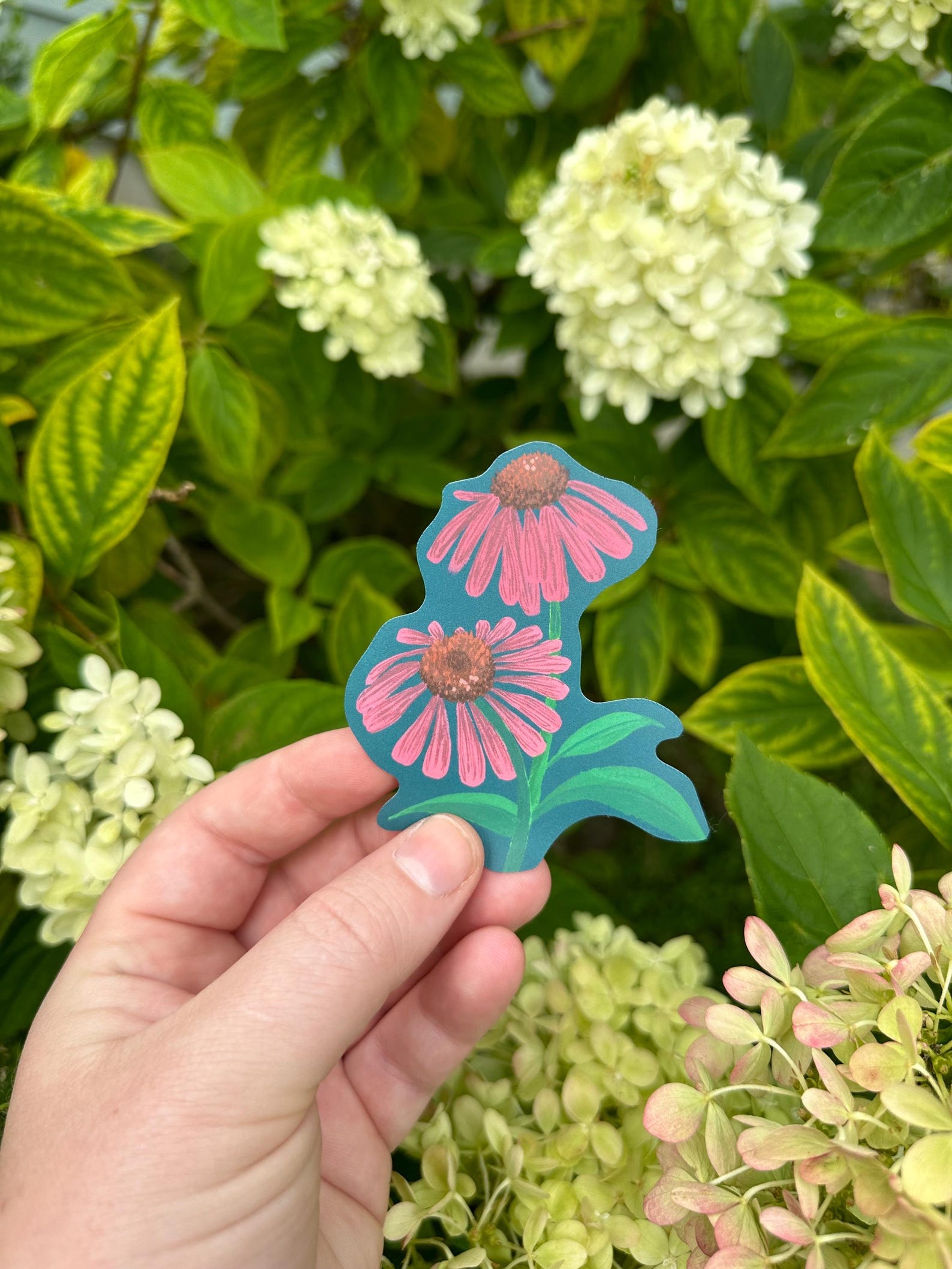 Purple Coneflower Die Cut Vinyl Sticker / Water Resistant/ UV Matte ...
