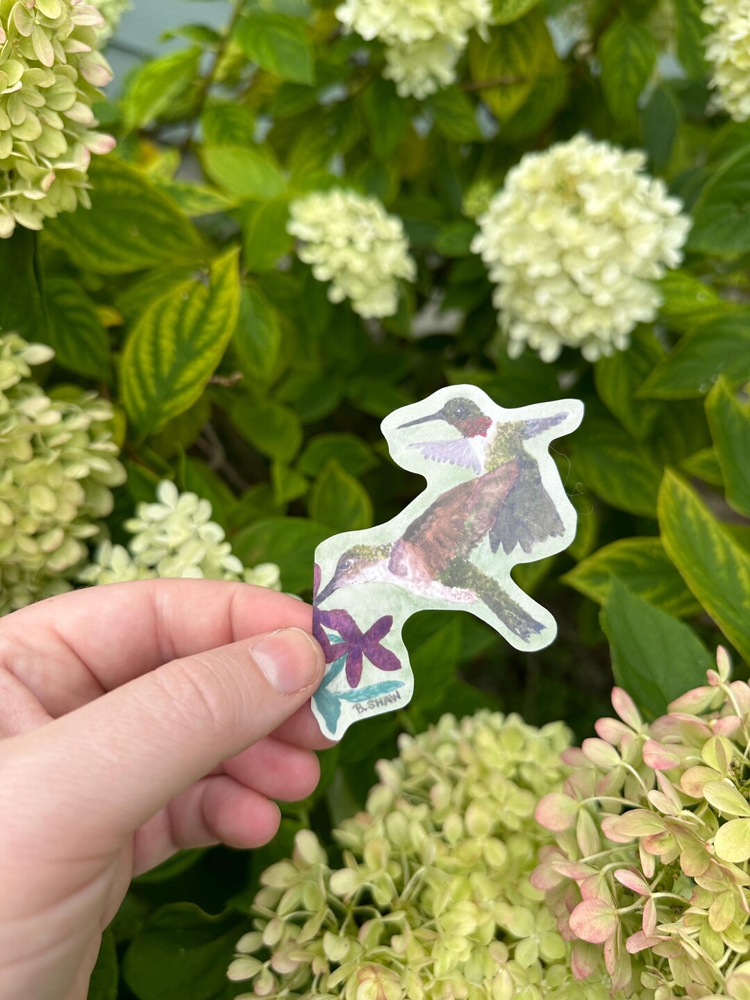Fluttering Hummingbirds Die Cut Vinyl Sticker / Water Resistant/ UV ...
