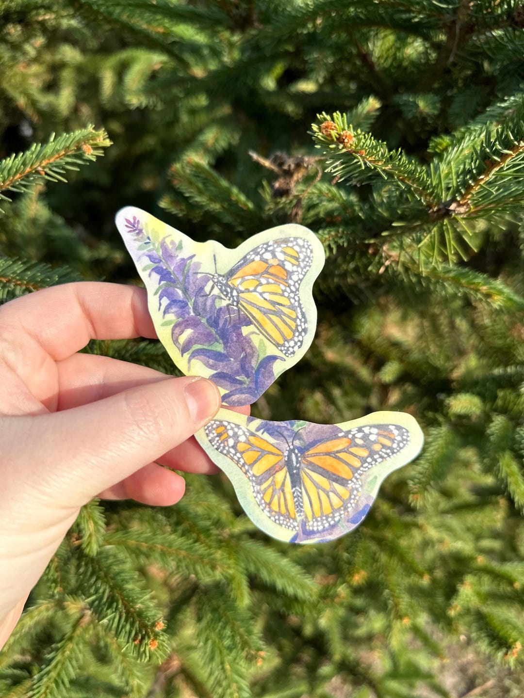 Monarch Butterfly Series Die Cut Vinyl Sticker / Water Resistant/ UV ...