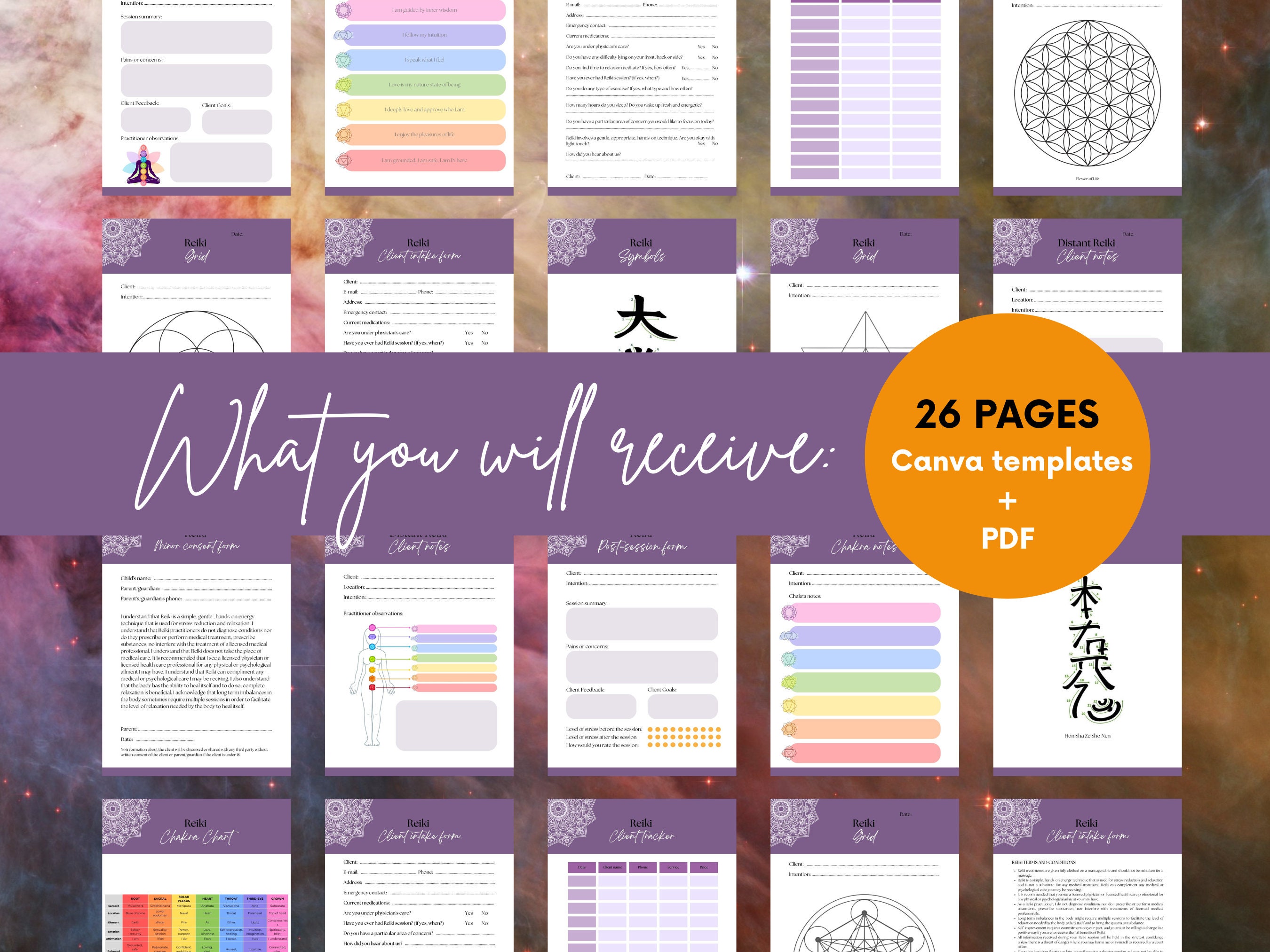 Reiki Business Form Bundle Reiki Session Distance Reiki - Etsy Australia