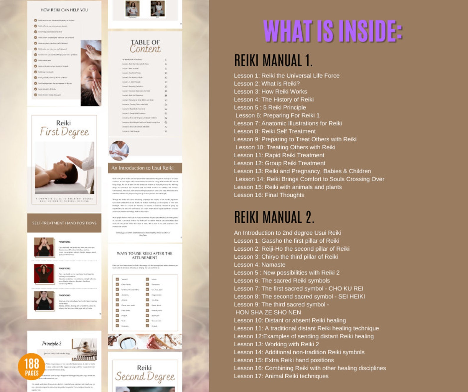 Start Your REIKI BUSINESS BUNDLE - Energy Healing - Chakra Healing ...