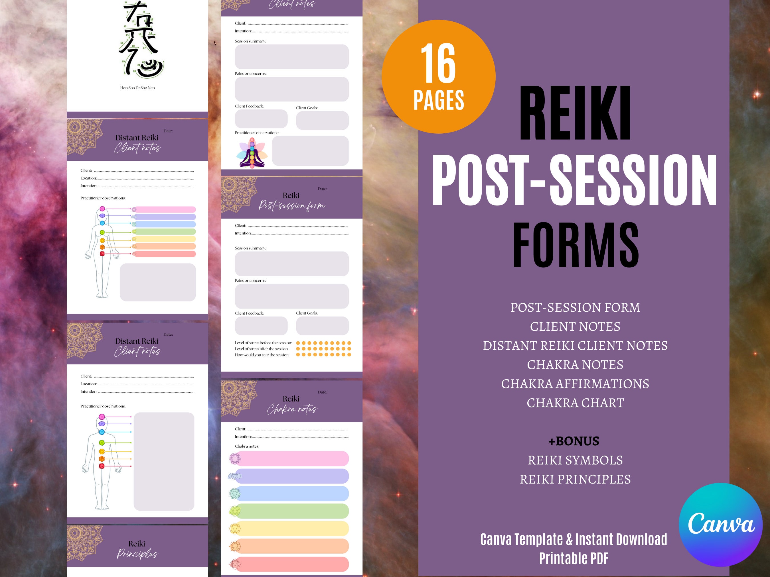 Reiki Post-session Client Form | Distance Reiki Form | Reiki Business ...