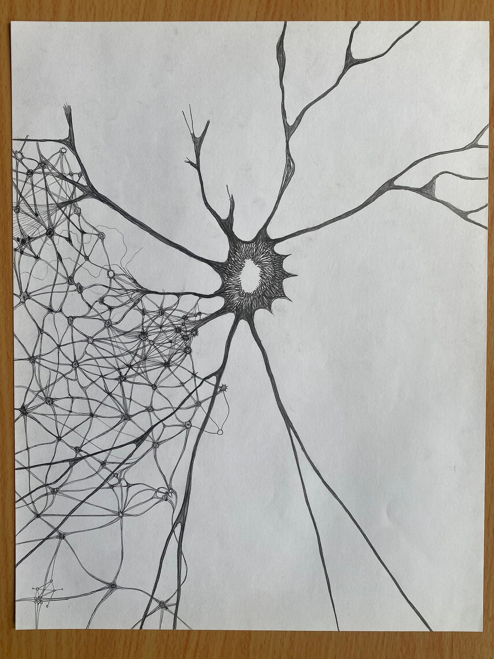 Insane in the Brain. Graphite Drawing of Brain Neurons Reflecting ...