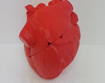 Anatomic Heart Puzzle - Etsy