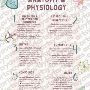 Anatomy and Physiology Chapter 2 Information Poster/study Guide/cram ...