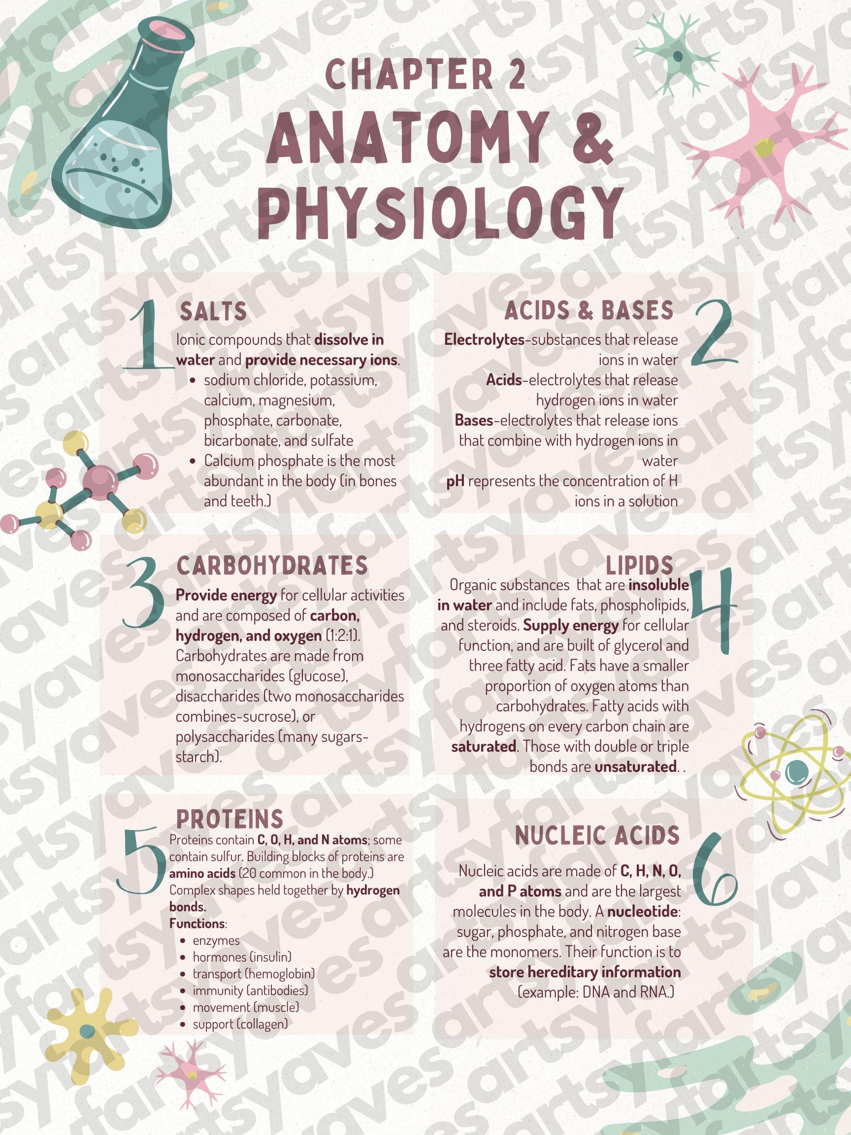 Anatomy and Physiology Chapter 2 Information Poster/study Guide/cram ...