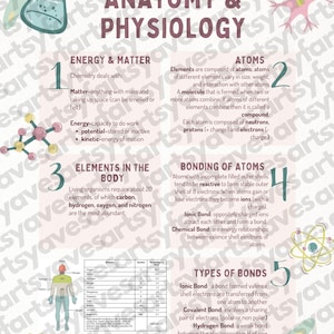 Anatomy and Physiology Chapter 2 Information Poster/study Guide/cram ...