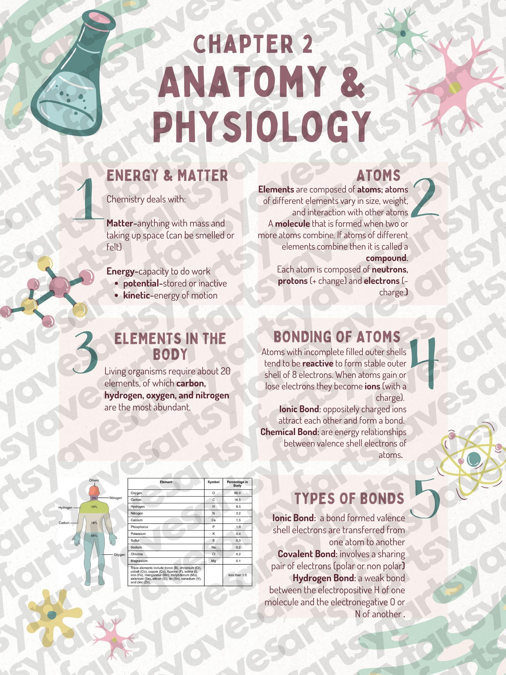 Anatomy and Physiology Chapter 2 Information Poster/study Guide/cram ...