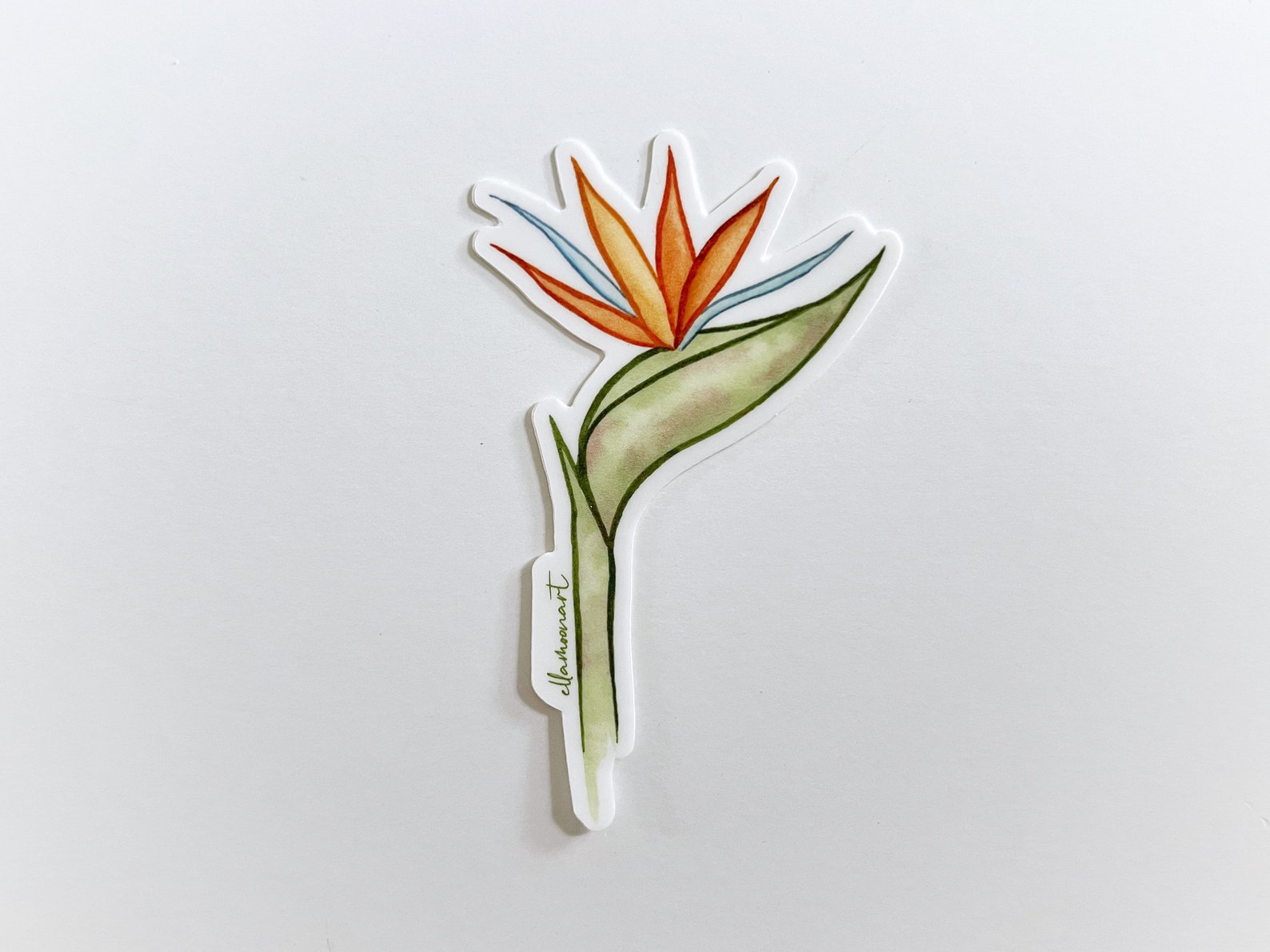 Bird of Paradise Sticker | Watercolor | Minimalistic | Art Sticker ...