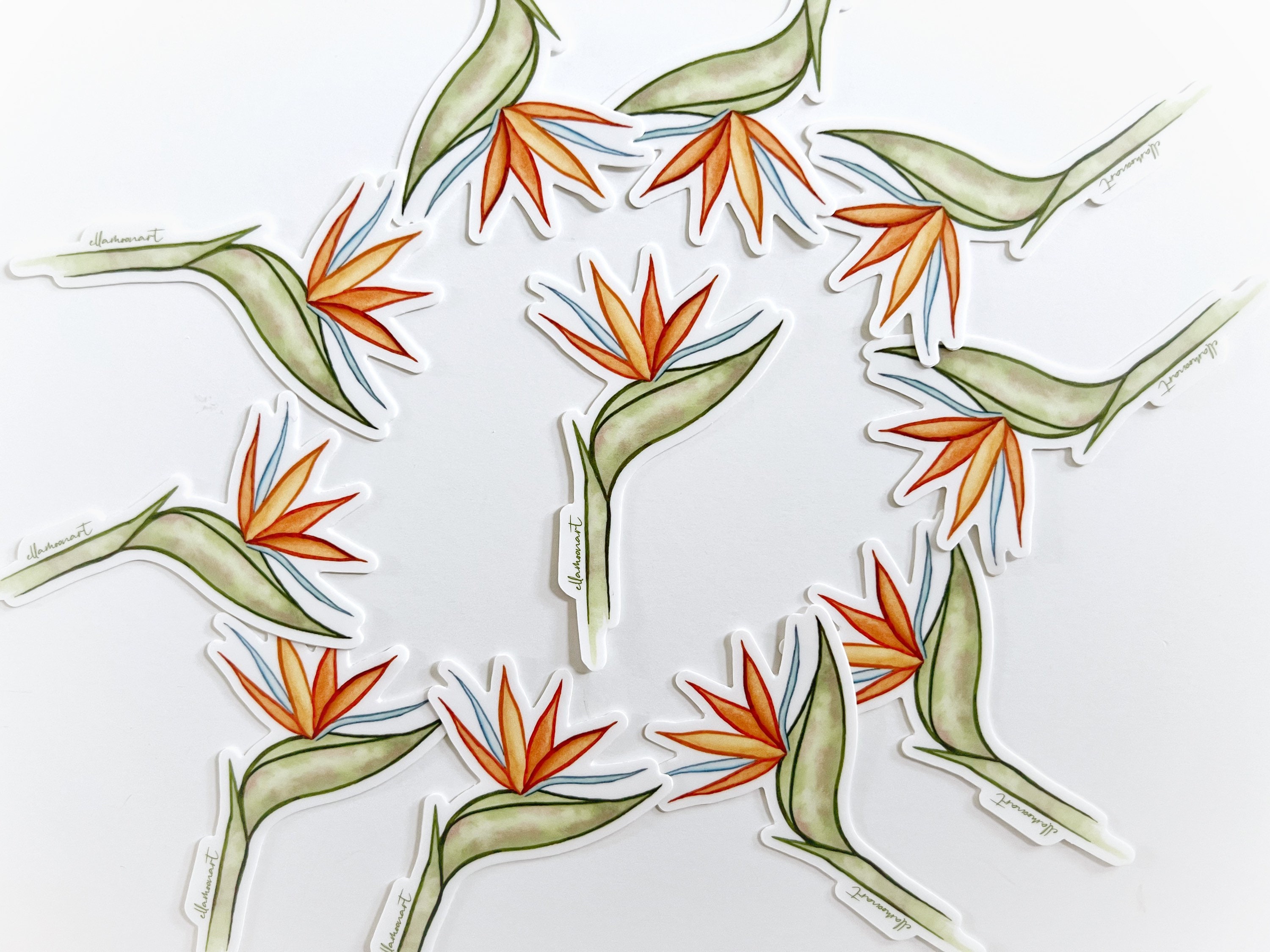 Bird of Paradise Sticker | Watercolor Vinyl Decal - Etsy