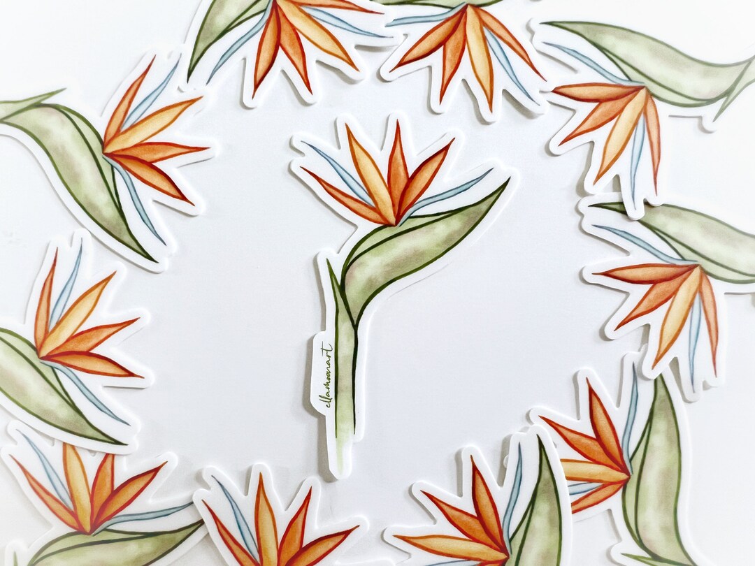 Bird of Paradise Sticker | Watercolor Vinyl Decal - Etsy