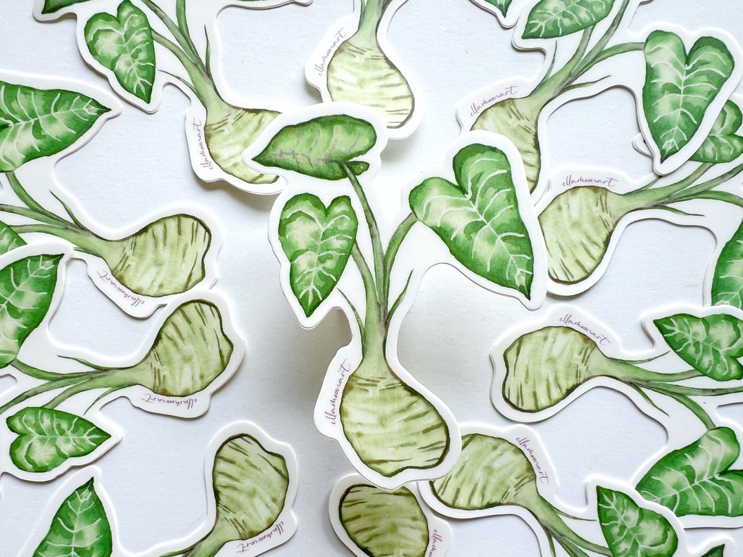 Watercolor Taro Sticker | Waterproof Vinyl Art - Etsy
