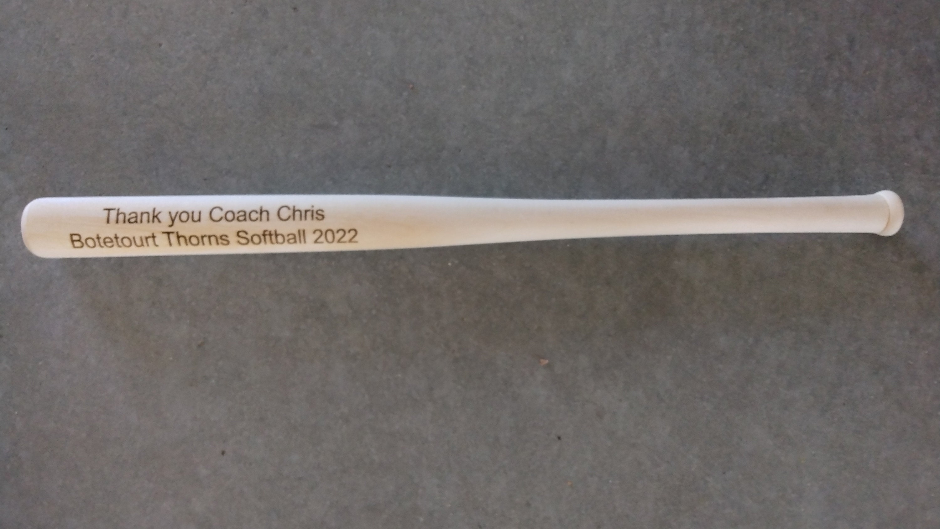 Personalized Mini Wooden Bat Great Team Player or Coach - Etsy