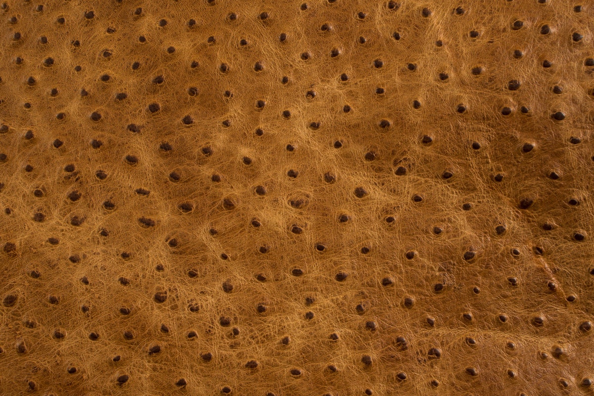 Rustic Ostrich Embossed Cowhide Leather Cognac Pre-cut Sheet 8.5 X 11 ...