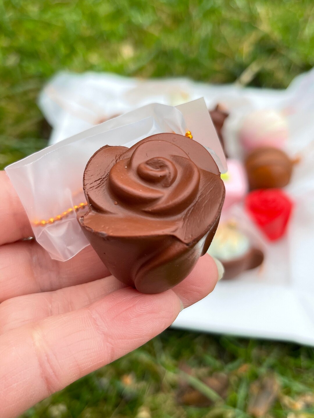 Ibloom Mini Chocolate Squishy Toy Fleur Rose Chocolate - Etsy