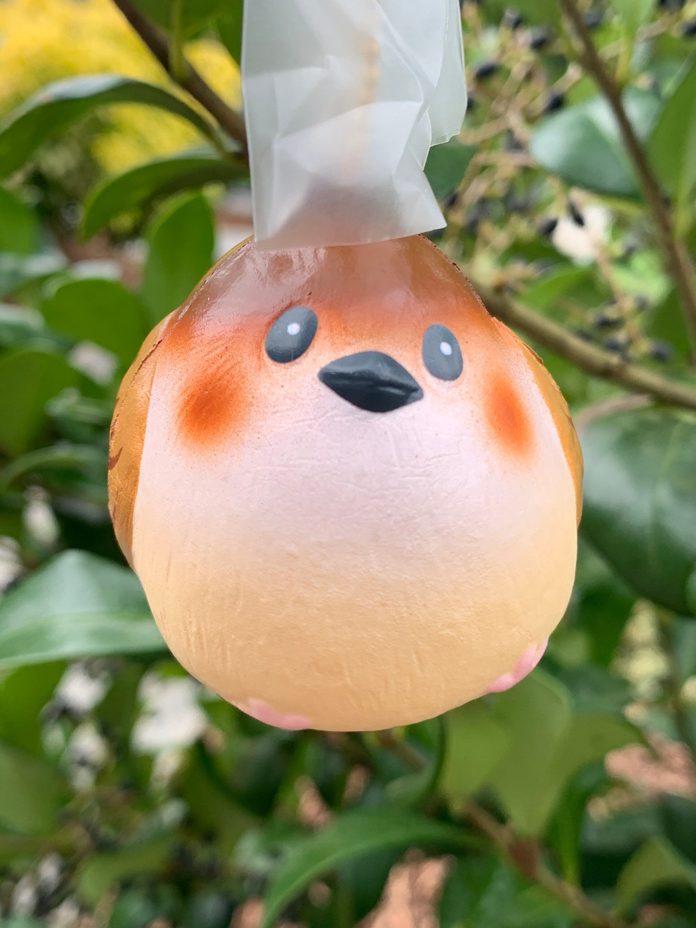 Ibloom Mini Healing Bird Series Squishy Toy last One - Etsy UK