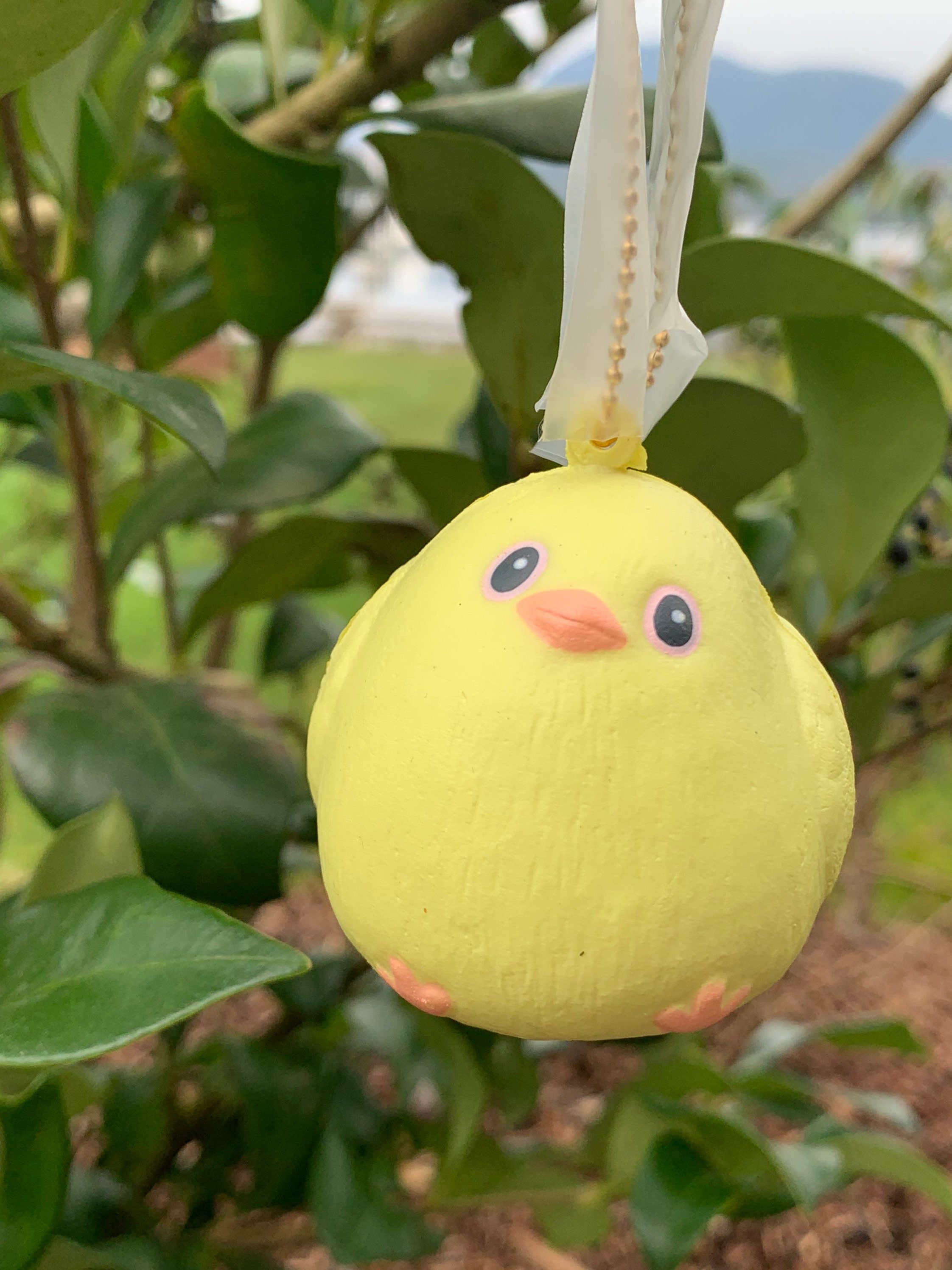 IBloom Mini Healing Bird Series Squishy Toy | Etsy