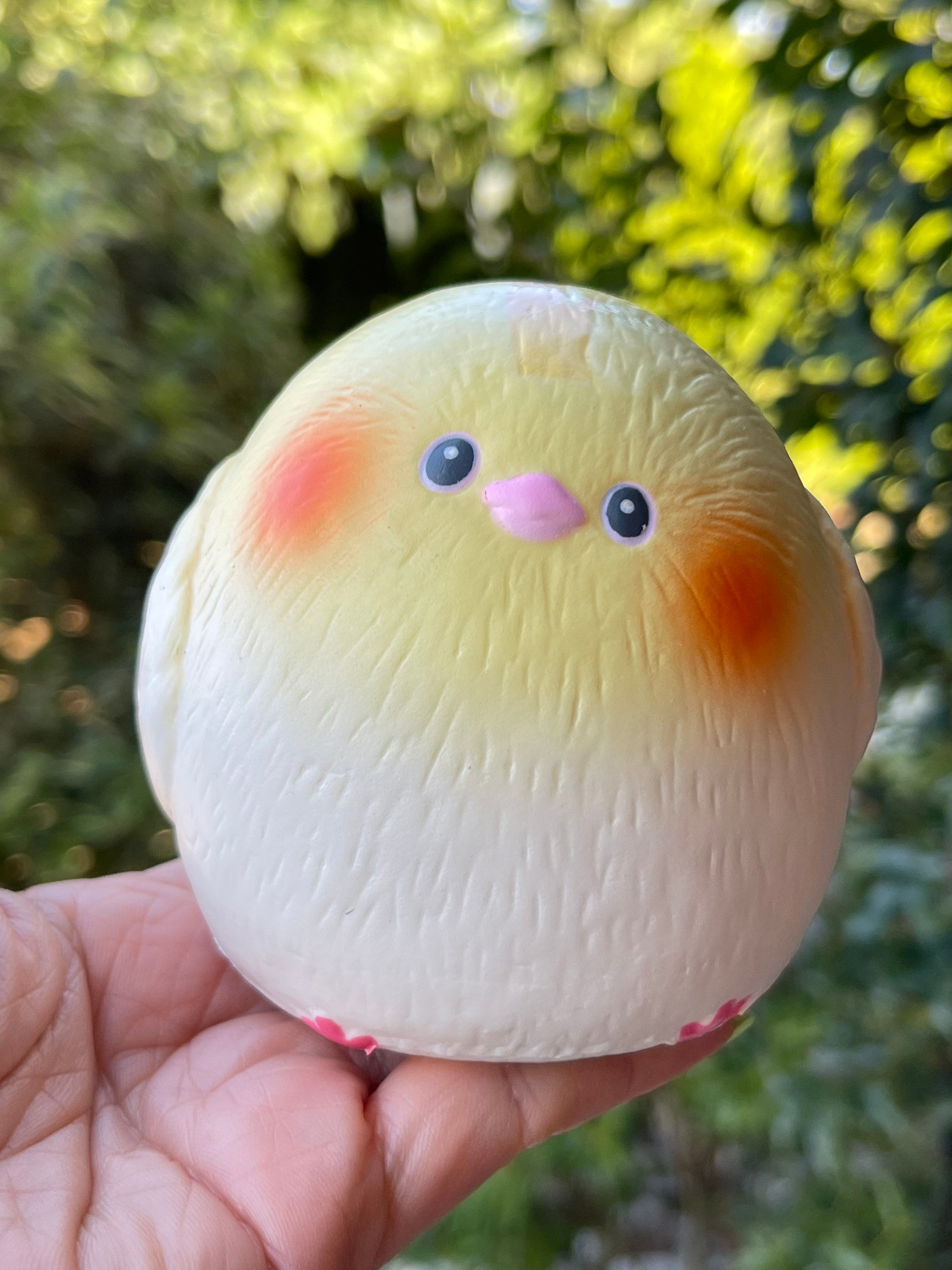 IBloom Healing Bird Squishy Toy Medium | Etsy