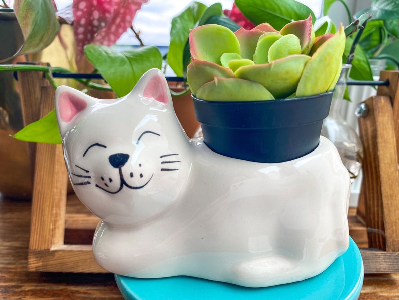 Fun Animal Planters - Etsy