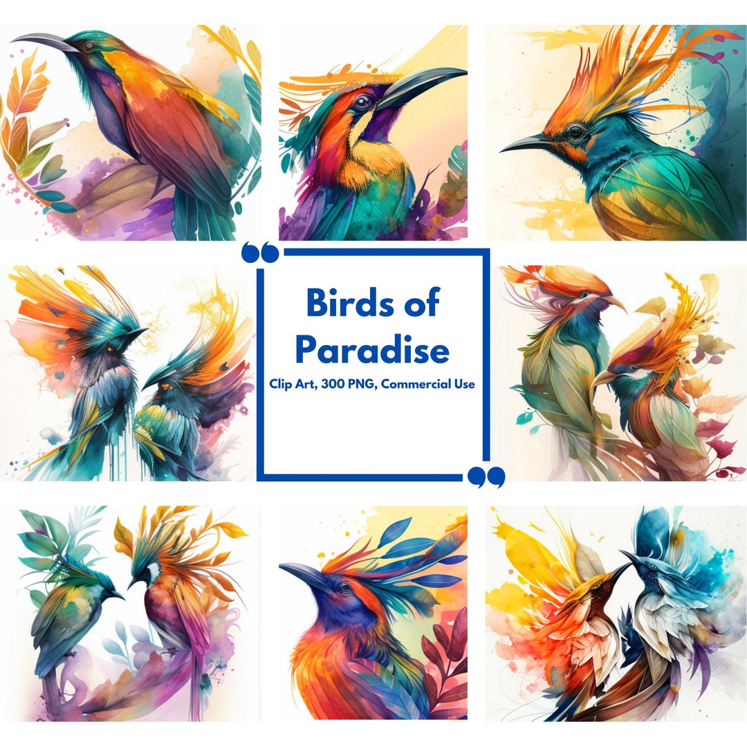 Watercolor Birds of Paradise Clipart Birds of Paradise Fantasy Clip Art ...