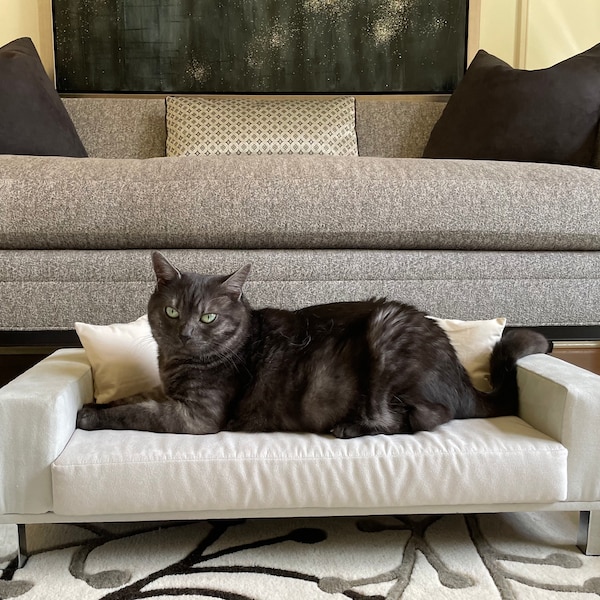 Cat on Couch - Etsy