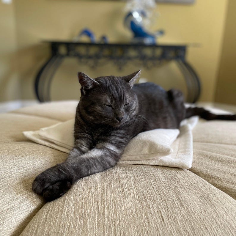 Organic Cat Head Pillow - Etsy