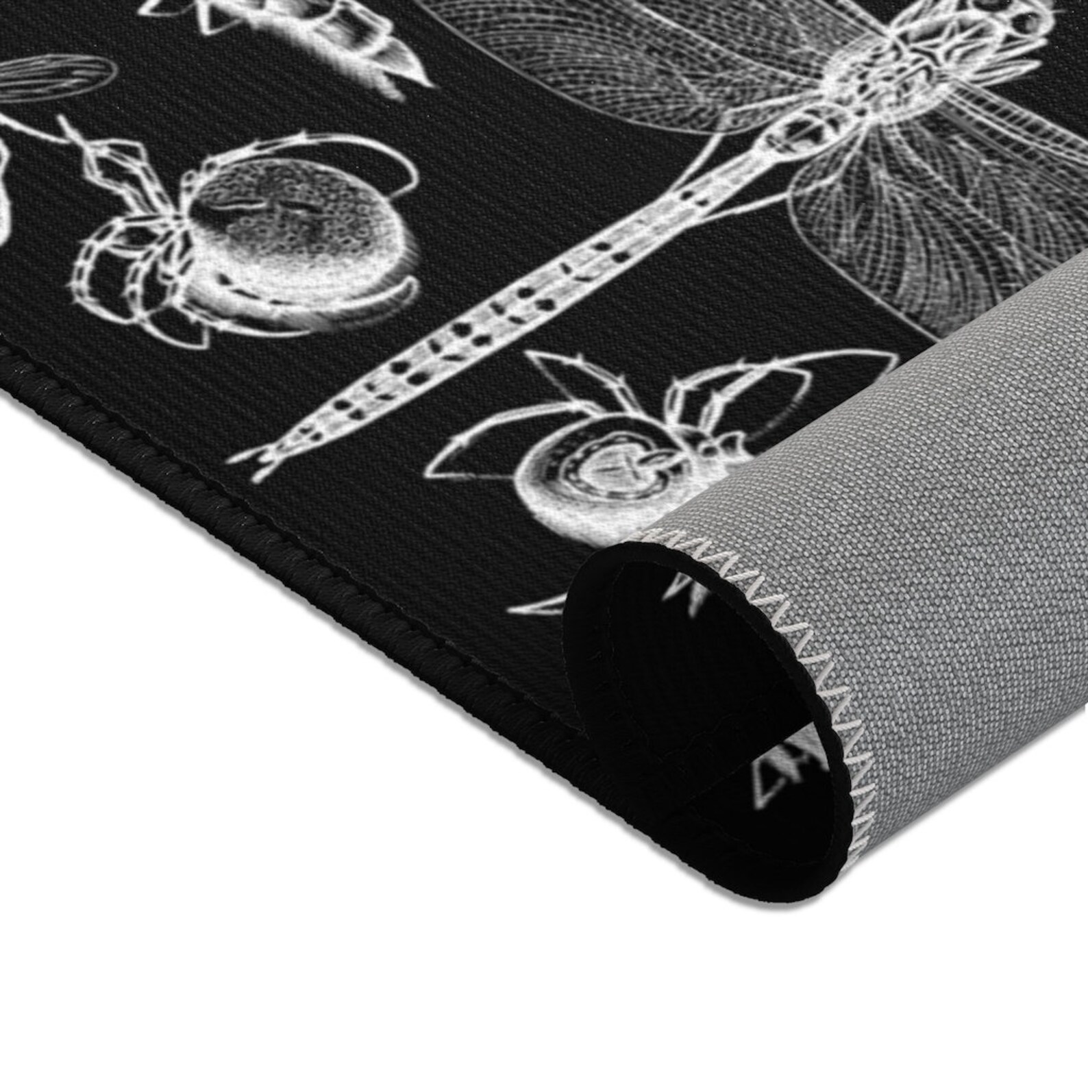 Insects and Moths Rug Butterfly Dragonfly Spider Carpet | Etsy