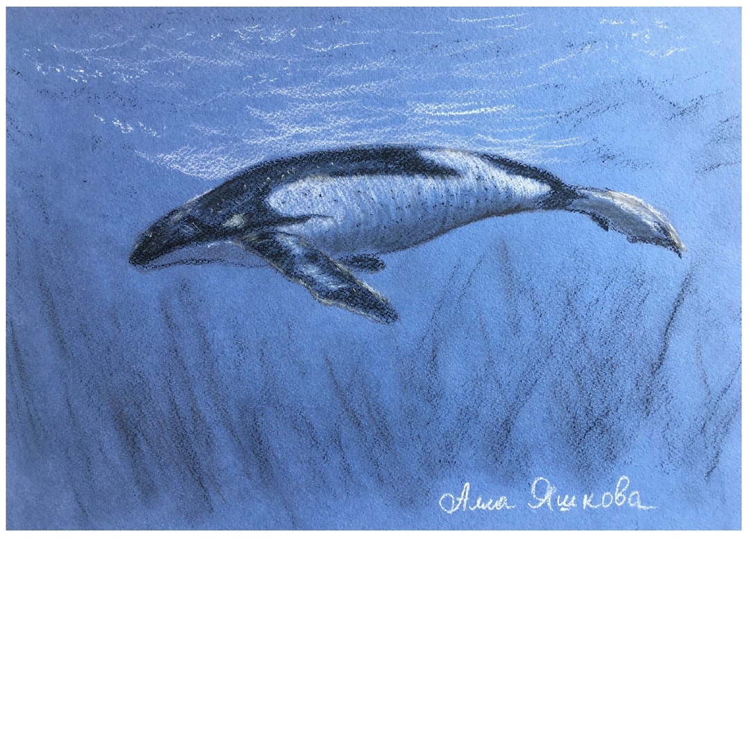 Whale Painting Orca Artwork Original Pastel Drawing Ocean Life Art ...