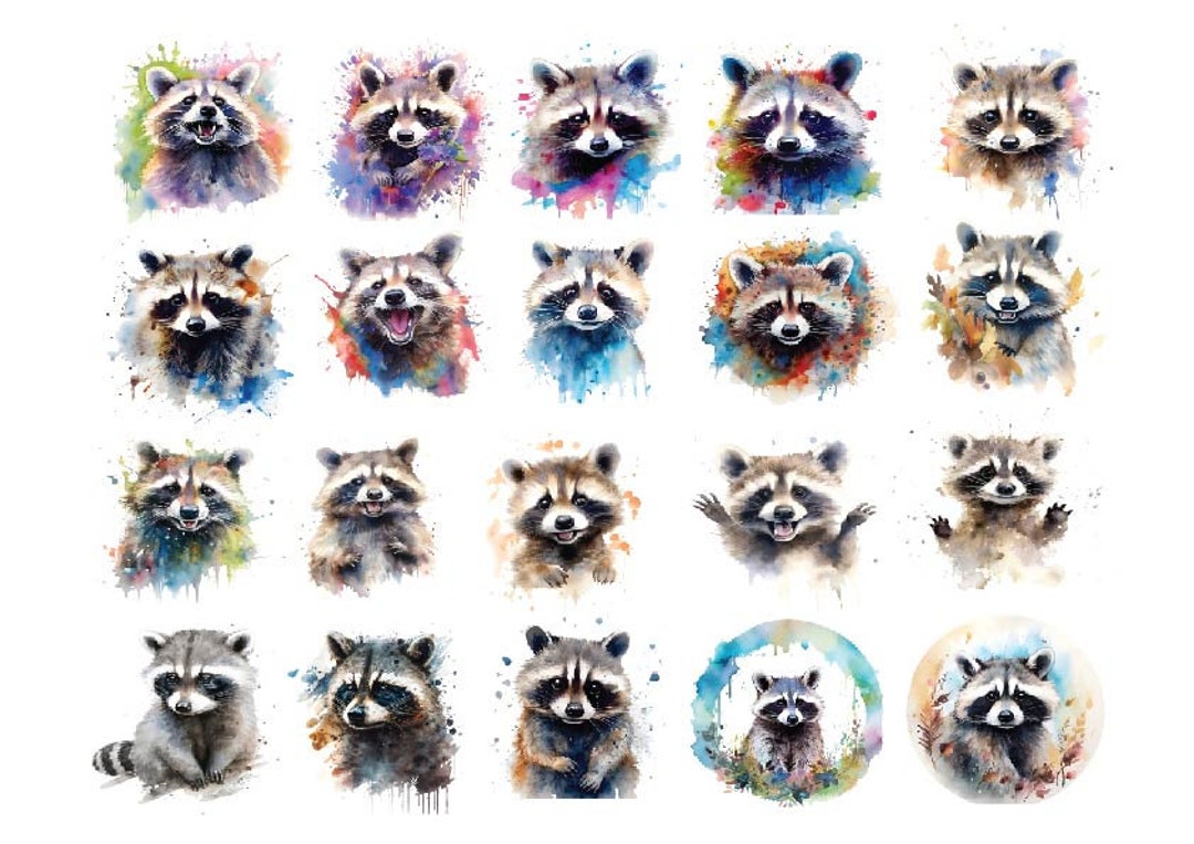 Watercolor Raccoon Png , Raccoon Clipart, Raccoon Png , Raccoon Baby ...