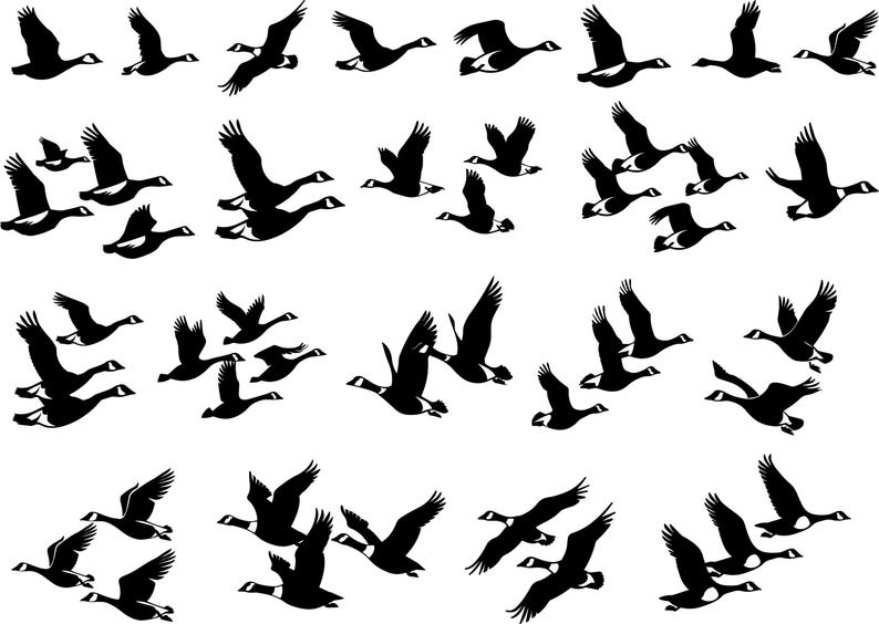 Wild Geese Svg, Wild Geese Clipart, Wildlife Svg, Wild Geese Vector ...