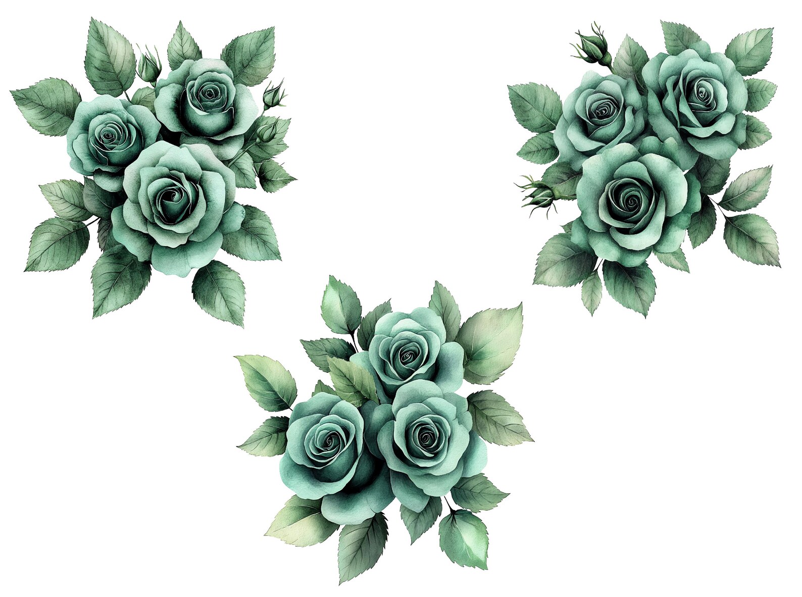 Watercolor Green Rose, Soft Green Rose Clipart , Green Watercolor ...