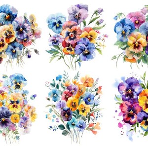 Watercolor Pansy Flowers Clipart Bundle, Pansy Flowers Png, Watercolor ...