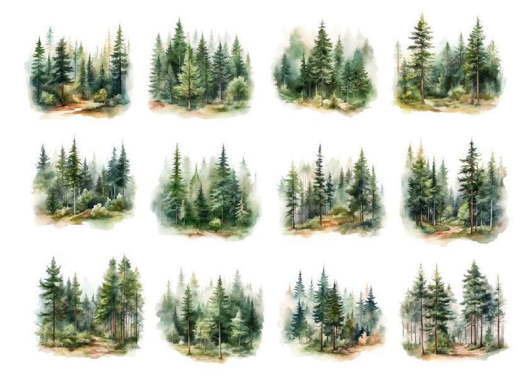 Watercolor Pine Forest, Watercolor Forest Tree Clipart, Pine Tree Png ...