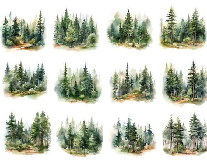 Watercolor Forest Trees Clipart, Pine Trees PNG, Pine Forest, Woodland ...