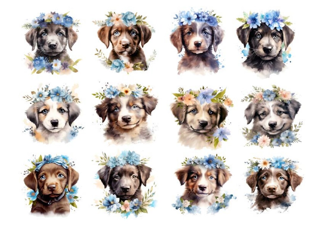 Watercolor Puppies Clipart, Watercolor Floral Dog Clipart Png, Cute ...