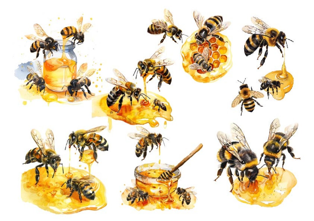 Watercolor Honey Clipart, Honey Bee Clipart, Honeycomb Illustrations ...